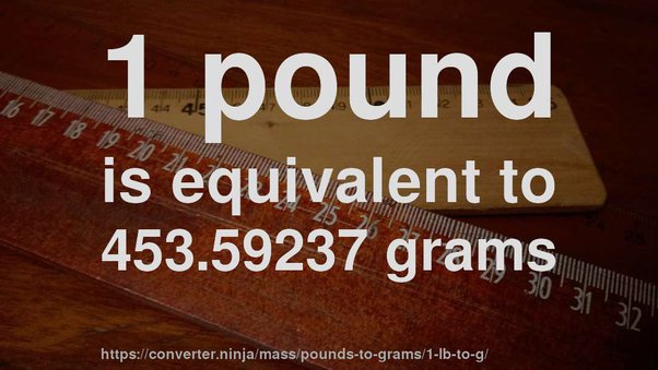 How many grams means 1 pound?