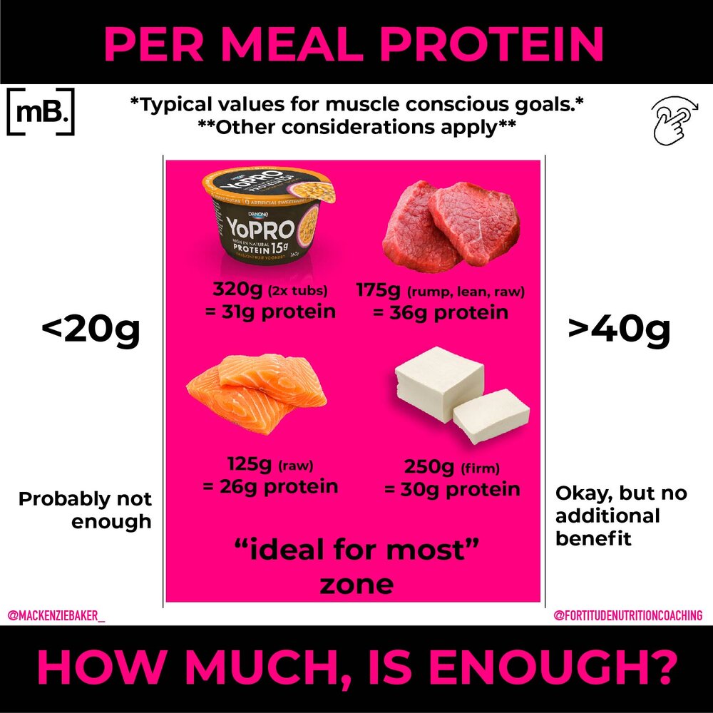 How many grams of protein is too much per meal?
