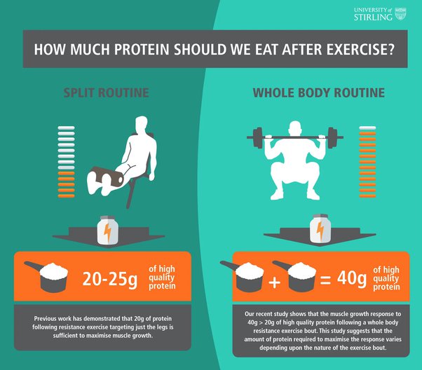 How many grams of protein should you consume after a workout?