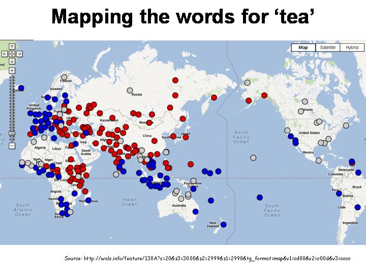 How many languages use the word chai?