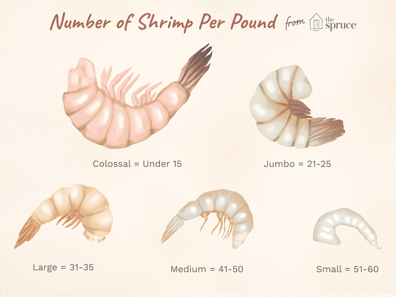 How many medium shrimp are in a pound?