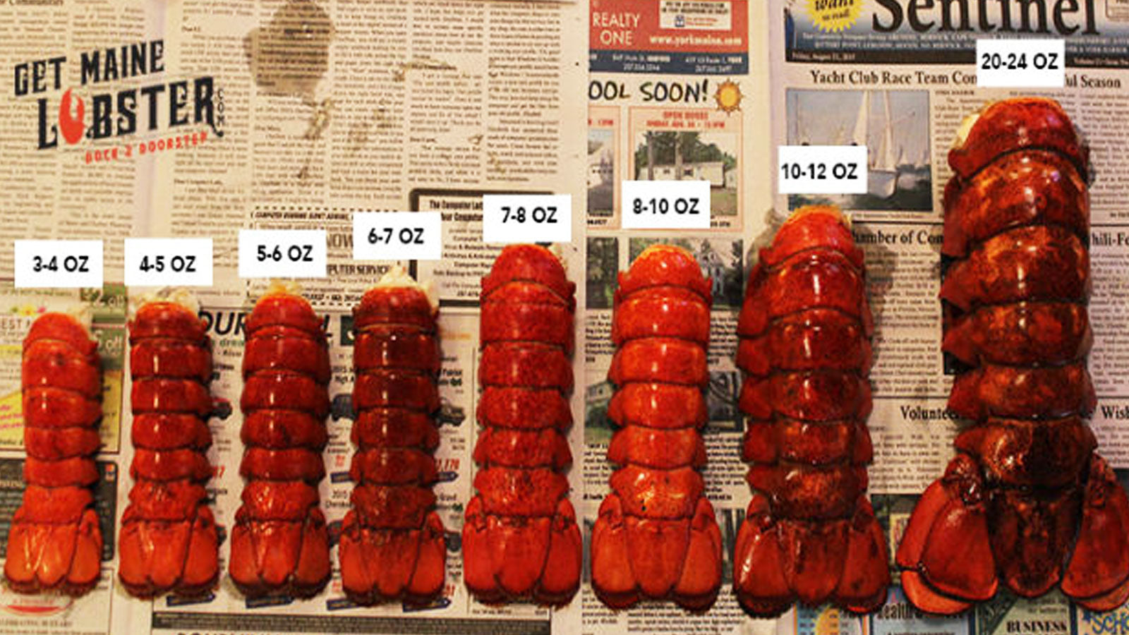 How many ounces of lobster meat are in a lobster?