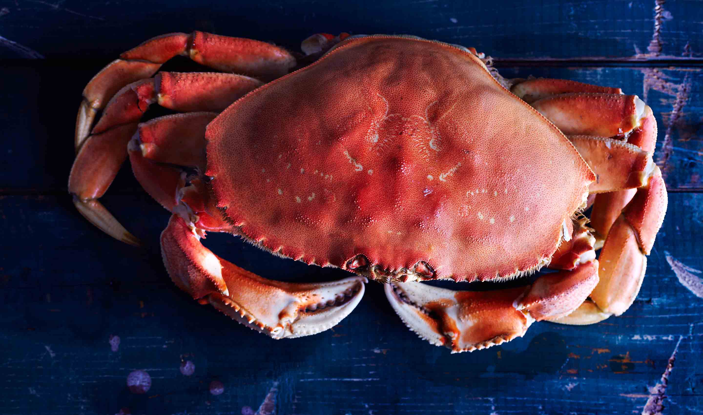 How many ounces of meat are in a whole crab?