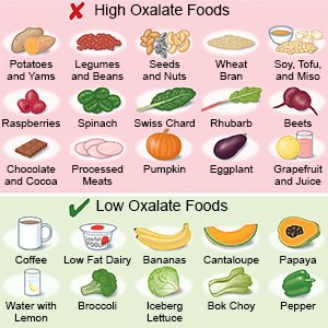 How many oxalates can you have on a low oxalate diet?