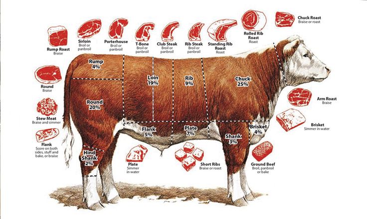 How many porterhouse steaks are in a cow?