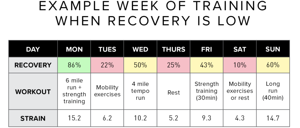 How many recovery runs a week?