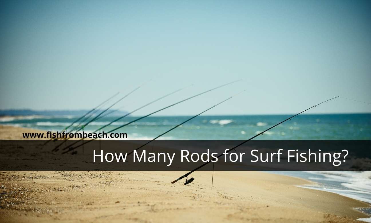 How many rods can you surf fish with in SC?