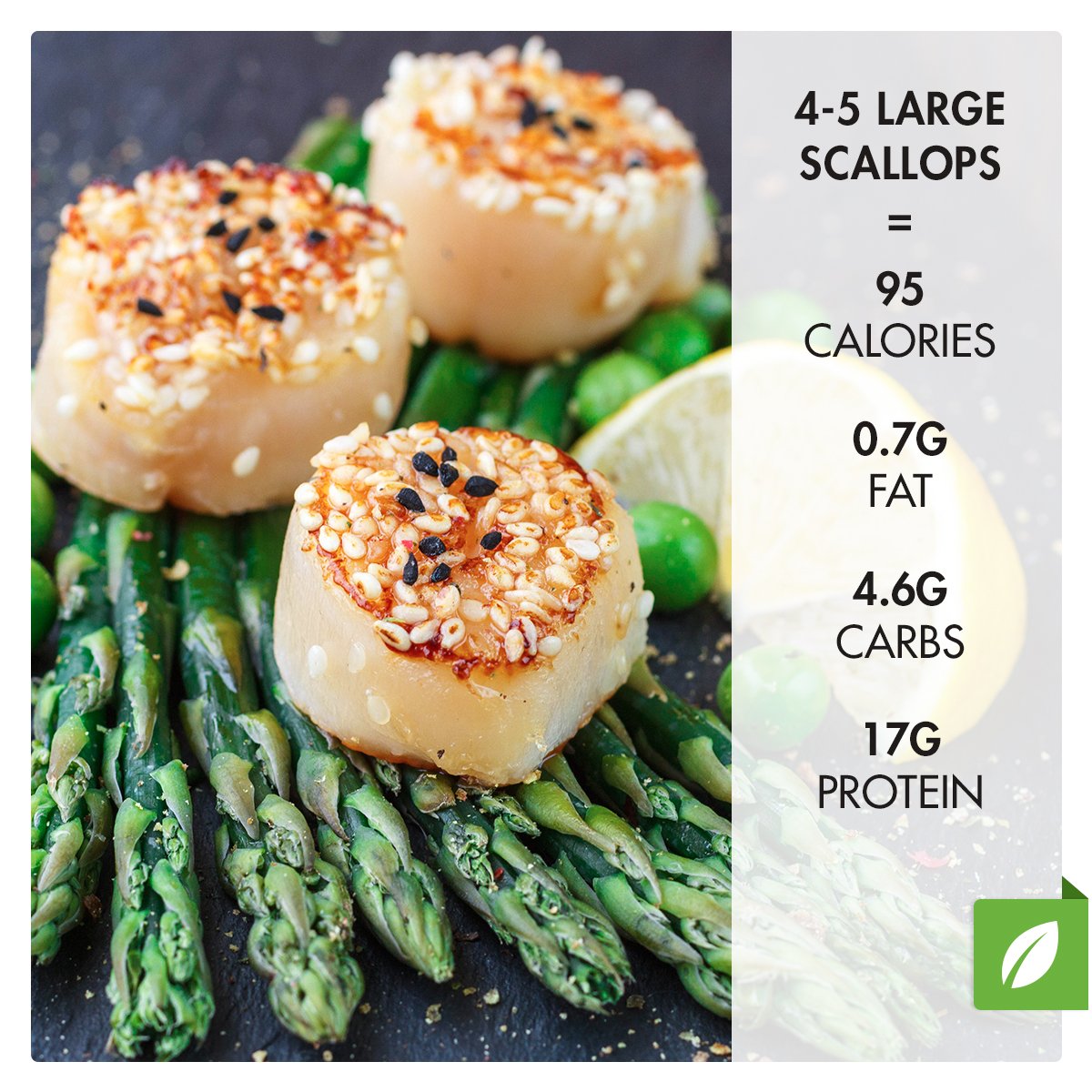 How many scallops is 3 ounces?