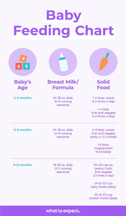 How many times a day should 6 month old eat solids?