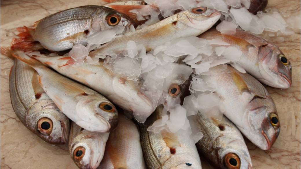 How many times a week is it healthy to eat fish?
