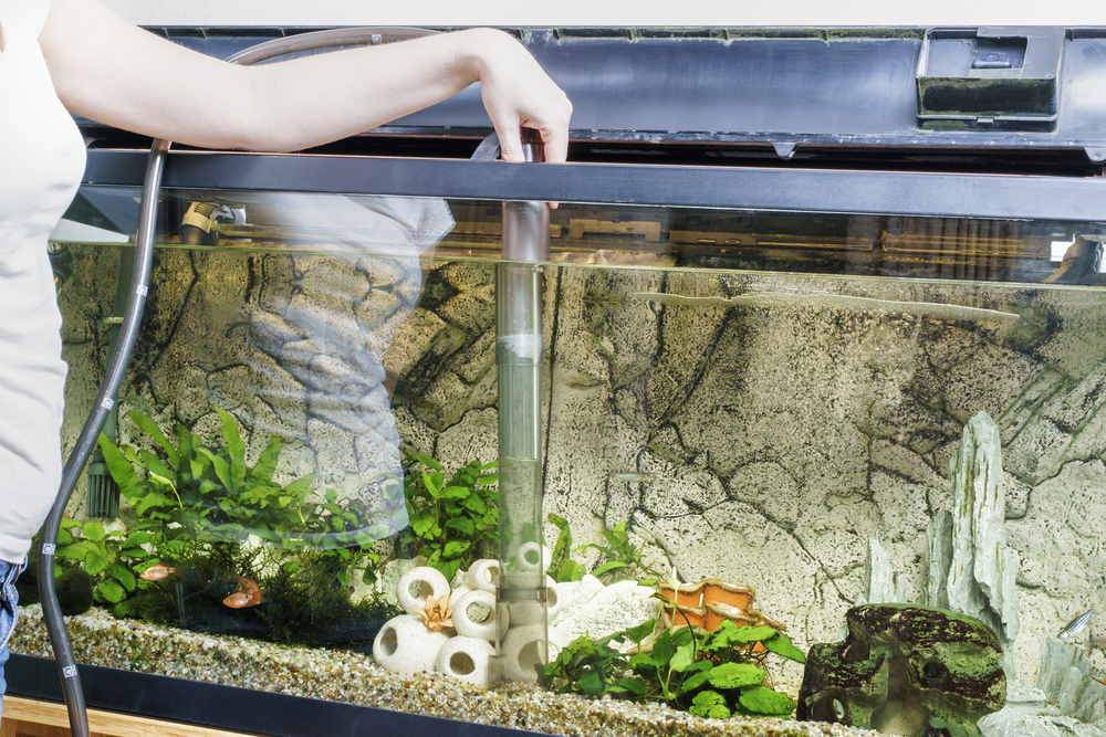 How many times a week should you do a water change?
