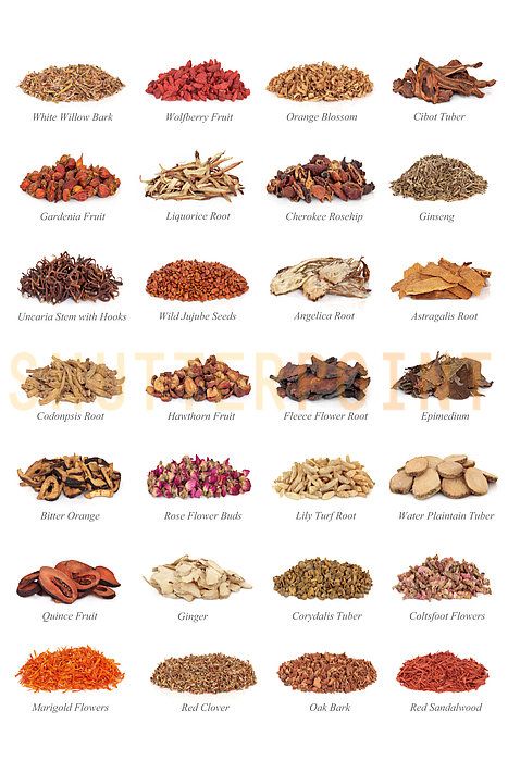 How many types of Chinese herbs are there?