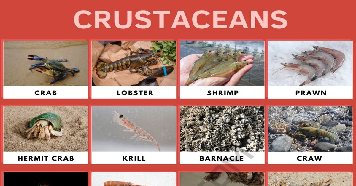 How many types of crustaceans are there?