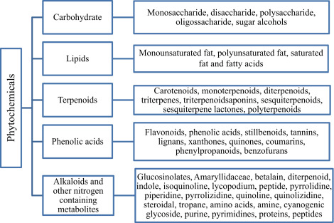 How many types of phytochemicals are there?