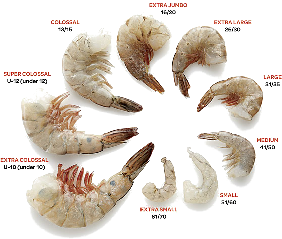 How many types of tiger prawn are there?