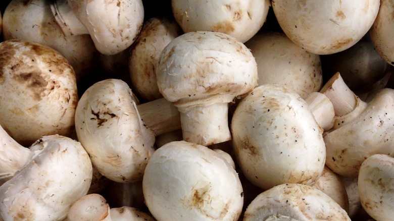 How many white mushrooms can I eat a day?