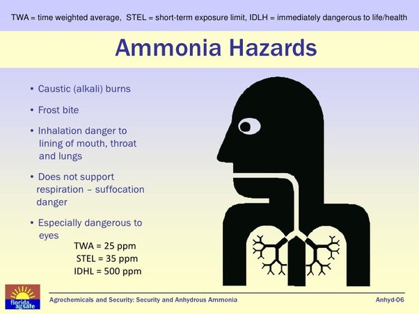 How much ammonia can you inhale?