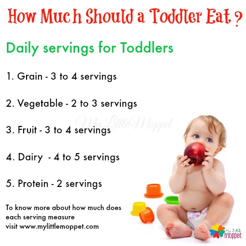 How much and how often should a two year old eat?