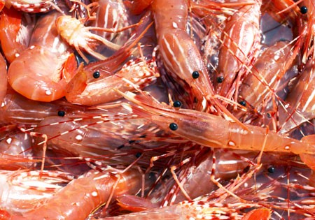 How much are fresh spot prawns?