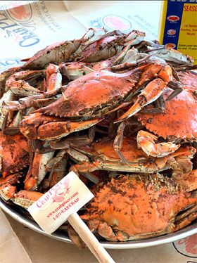 How much are live crabs in Maryland?