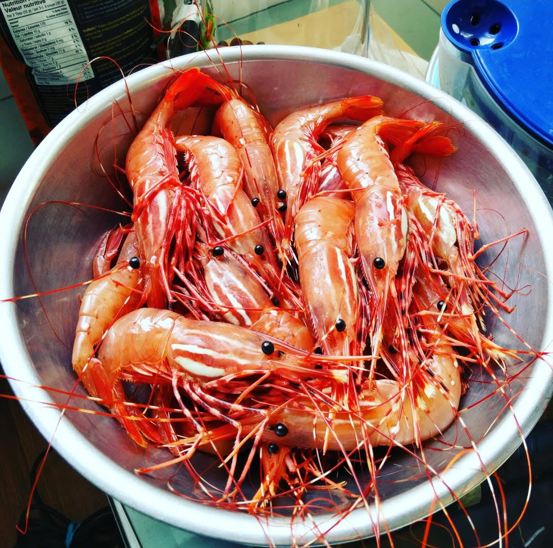 How much are live spot prawns?