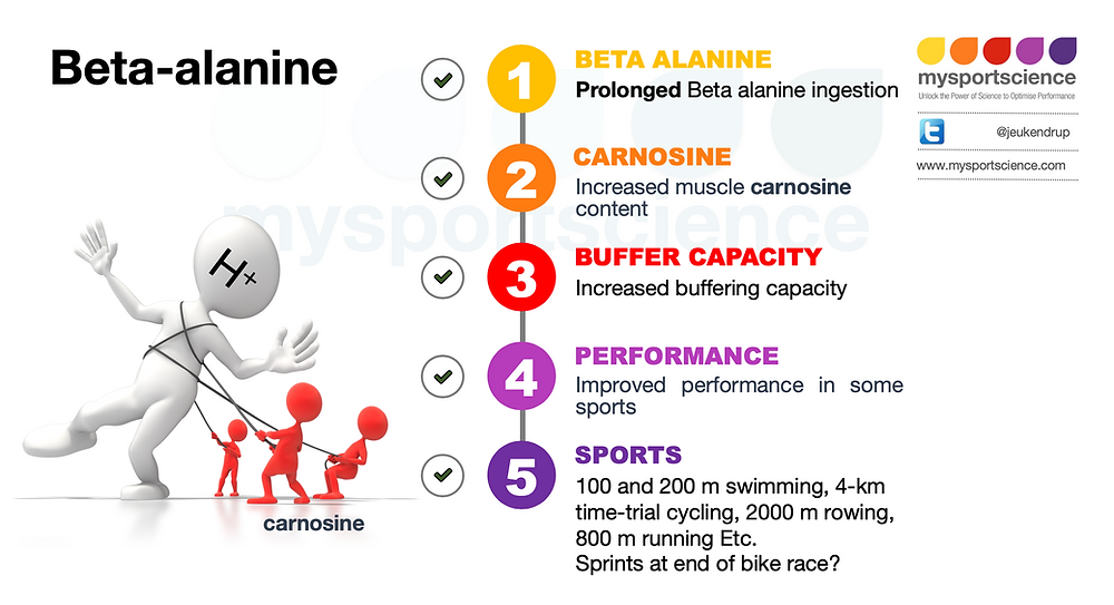 How much beta-alanine should I take for running?