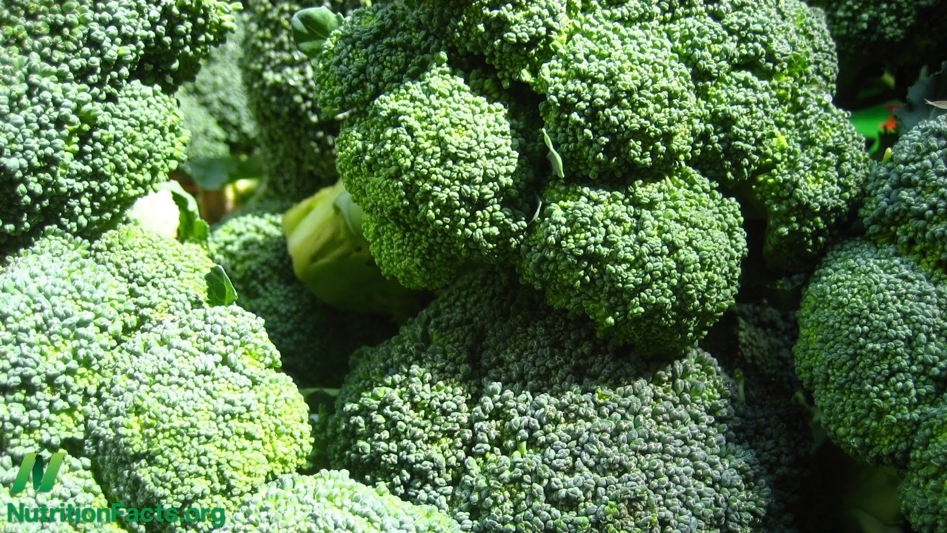 How much broccoli a day is too much?