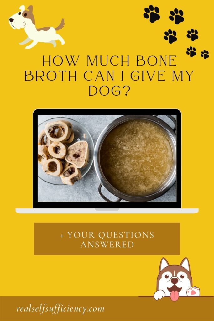 How much broth can I give my dog?