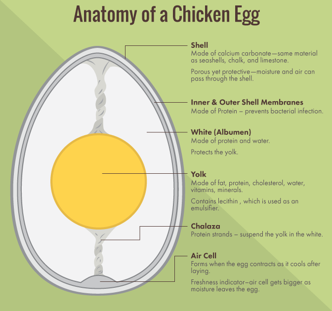 How much calcium is in a chicken egg?