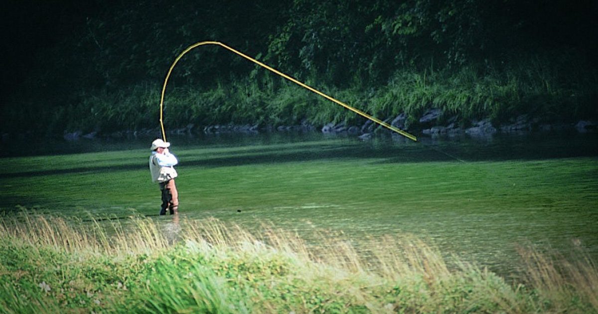 How much can you make fishing in Alaska for a summer?