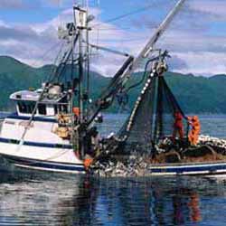 How much can you make on a fishing vessel?