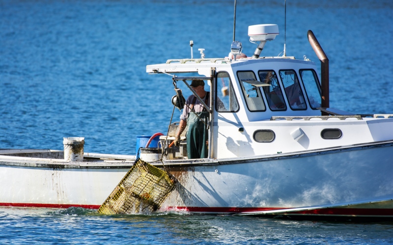 How much can you make on a lobster boat?