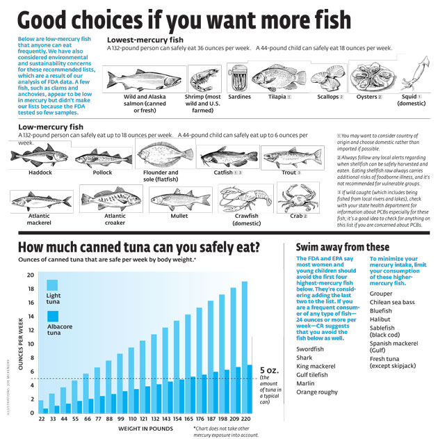 How much canned fish can you eat while pregnant?