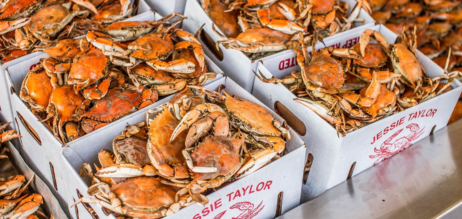 How much do crabs cost in Maryland?