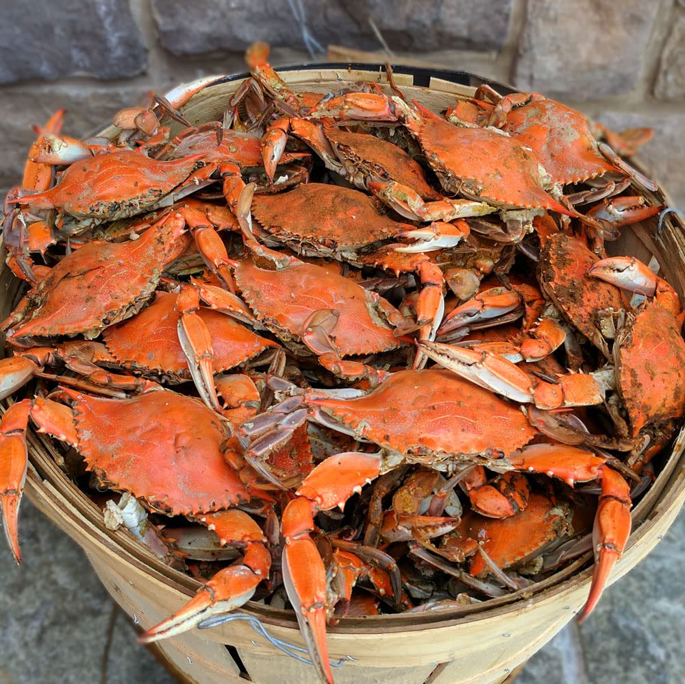 How much do Maryland blue crabs cost?