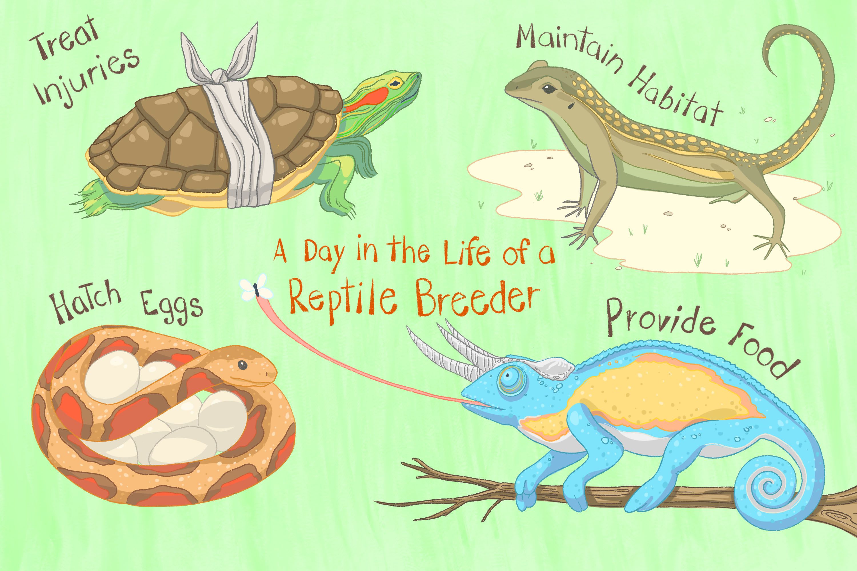 How much do reptile breeder’s make?