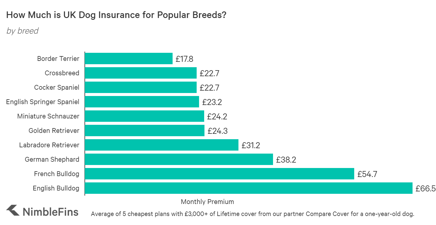 How much do you pay for dog insurance UK?