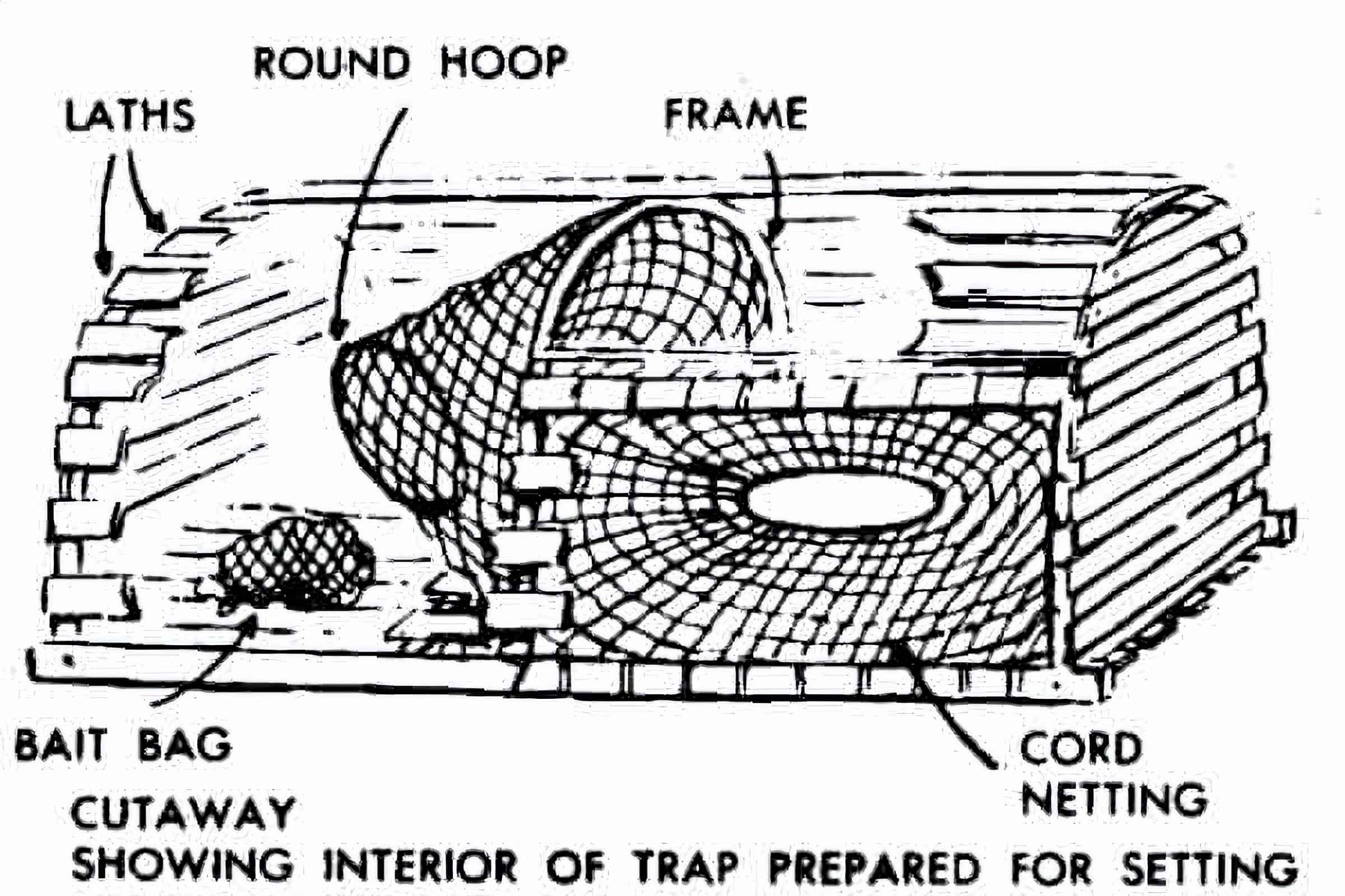 How much does a lobster trap cost in Maine?