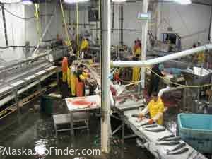 How much does a seafood processor make in Alaska?