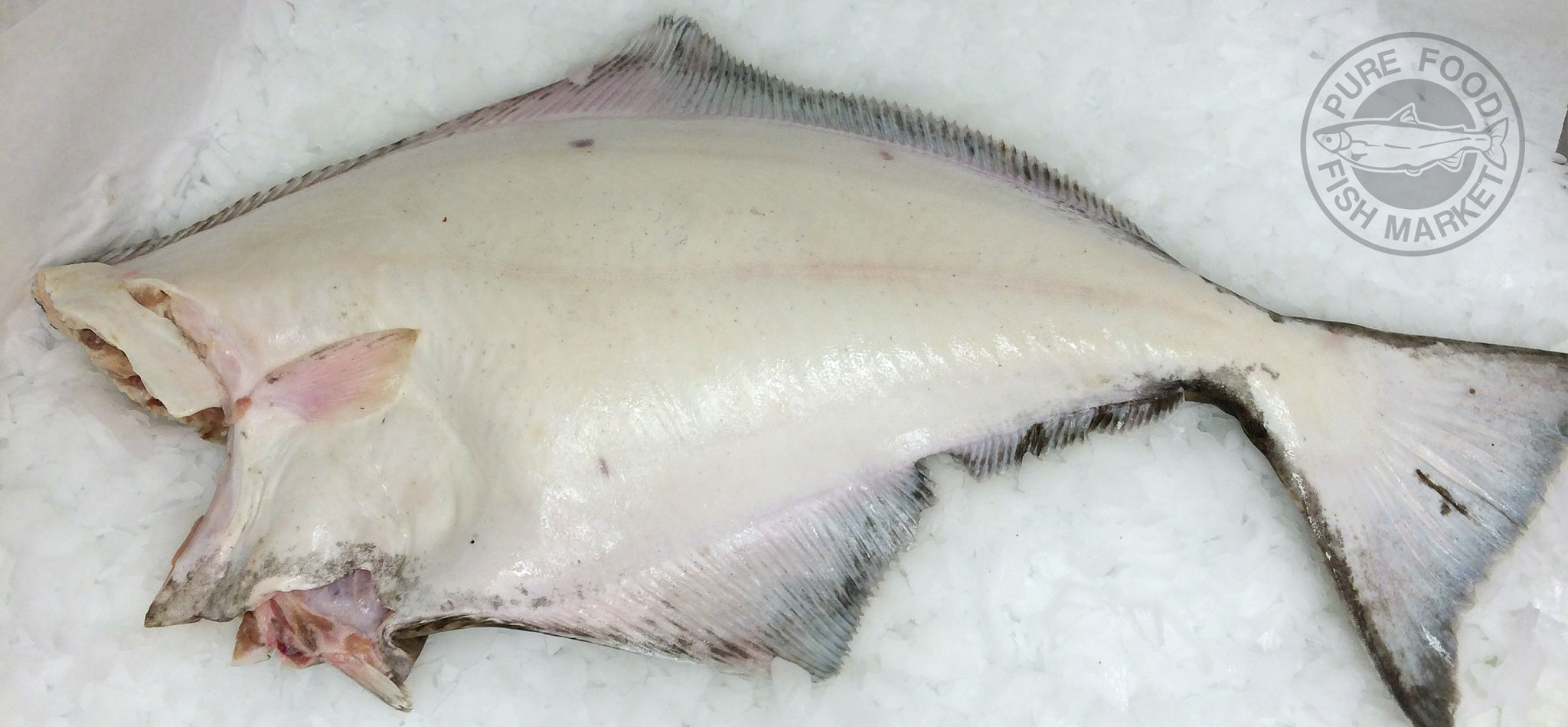 How much does a whole halibut cost?