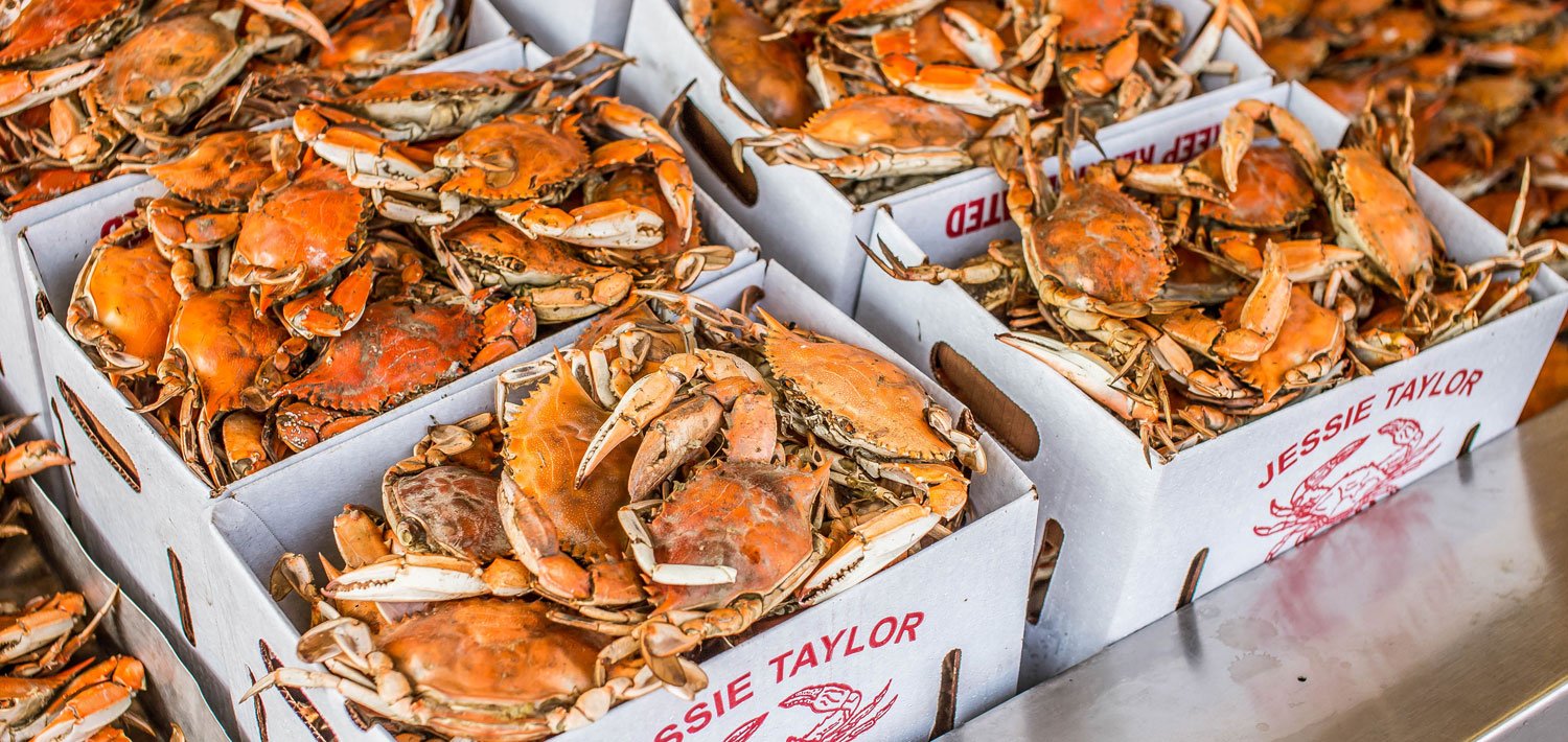 How much does Cold Crab cost in Maryland?