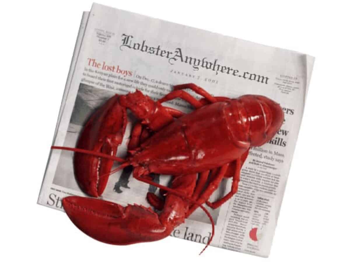 How much does it cost to ship live lobster?