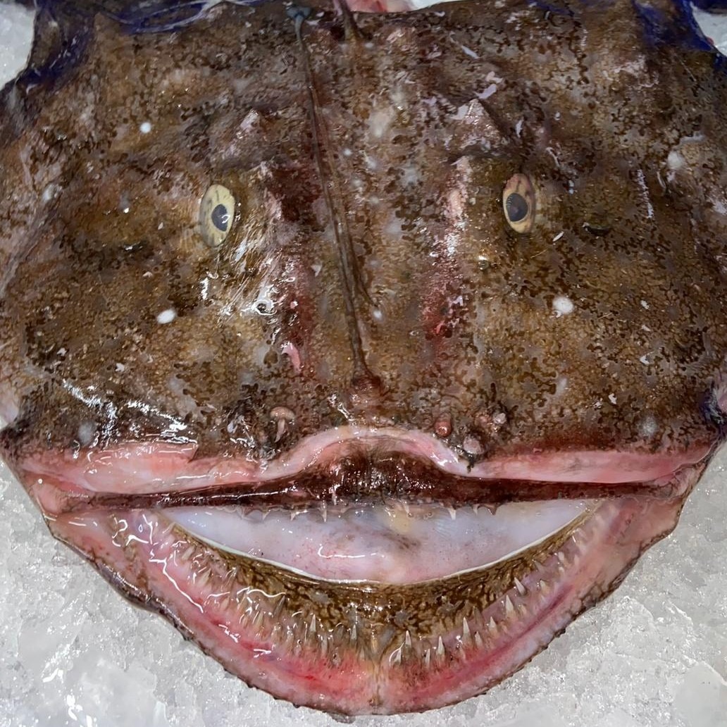 How much does monkfish sell for?