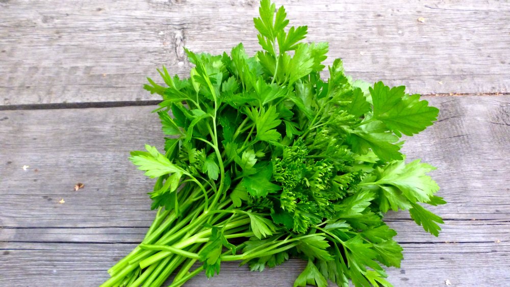 How much dried parsley should I eat per day?