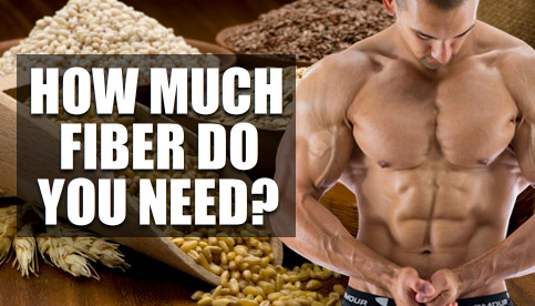 How much fiber should a bodybuilder eat?