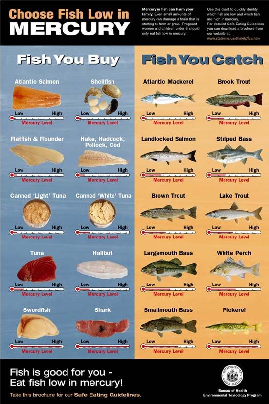 How much fish a day is safe?