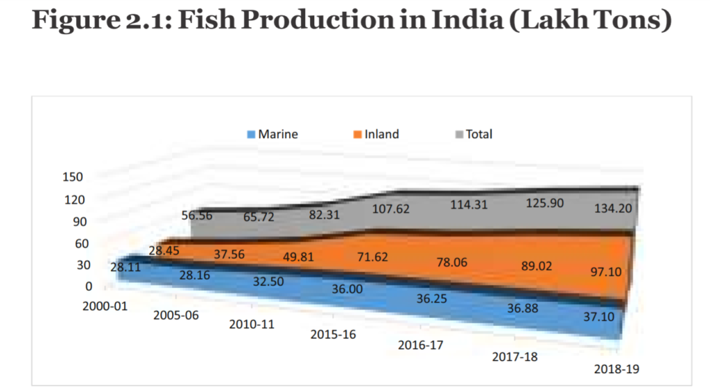 How much fish does India produce?