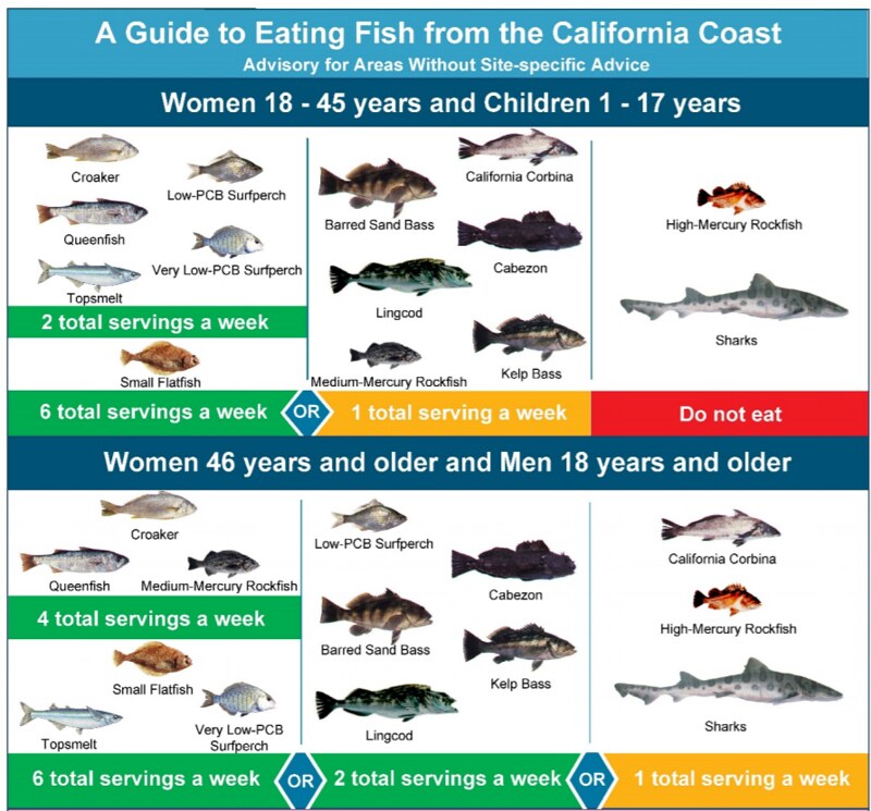 How much fish is it safe to eat each week?