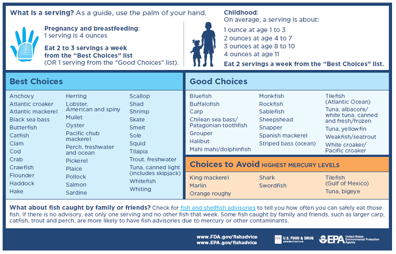 How much fish is safe per day?