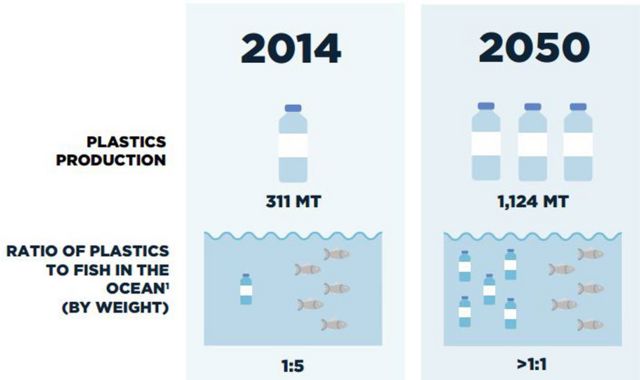 How much fish will there be in 2050?